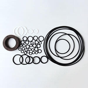 MAIN PUMP KIT - PETSEALS INDUSTRIES